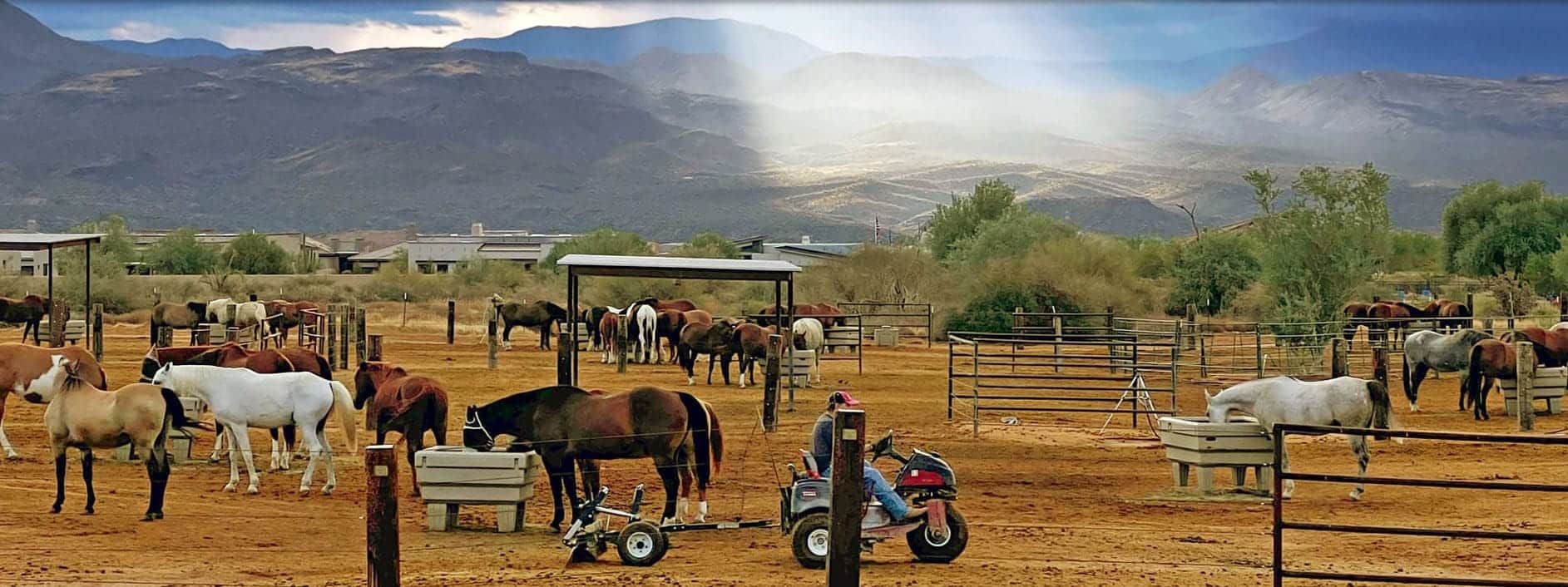 Horse Rescue Ranch and Arizona Horse Sanctuary - Reigning Grace Ranch