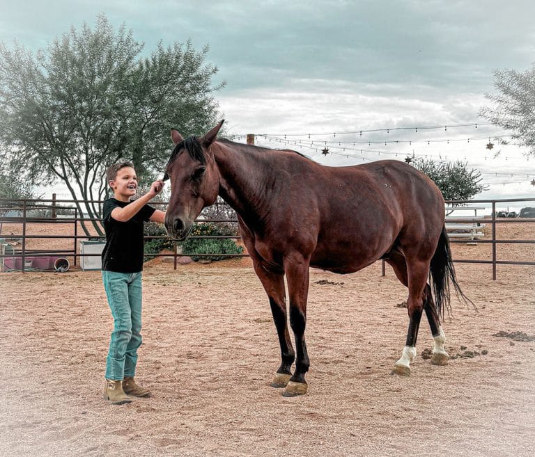 Mane to Tail - Reigning Grace Ranch