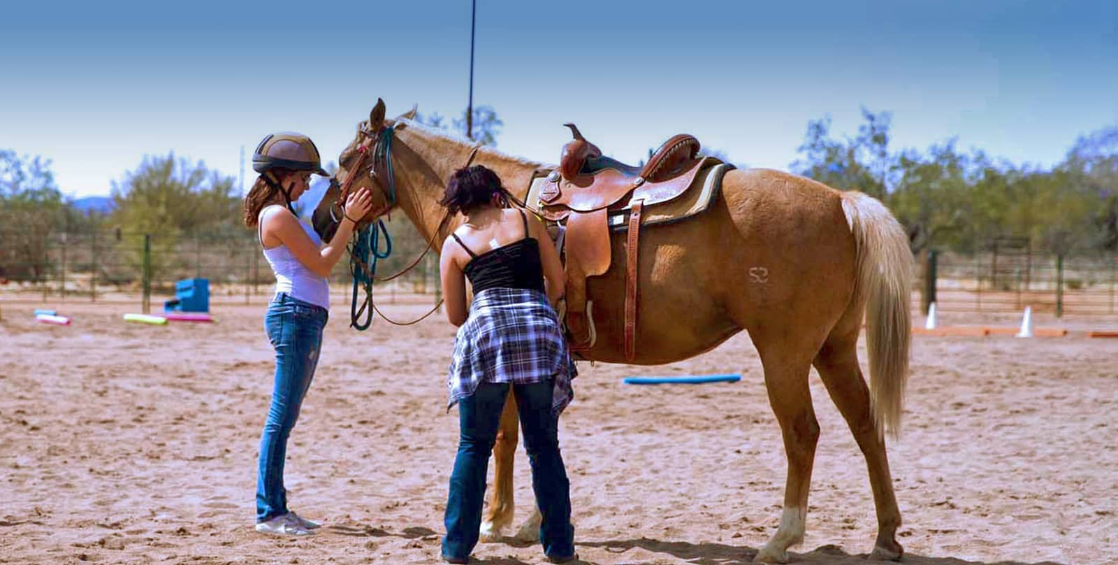 In The News - Reigning Grace Ranch