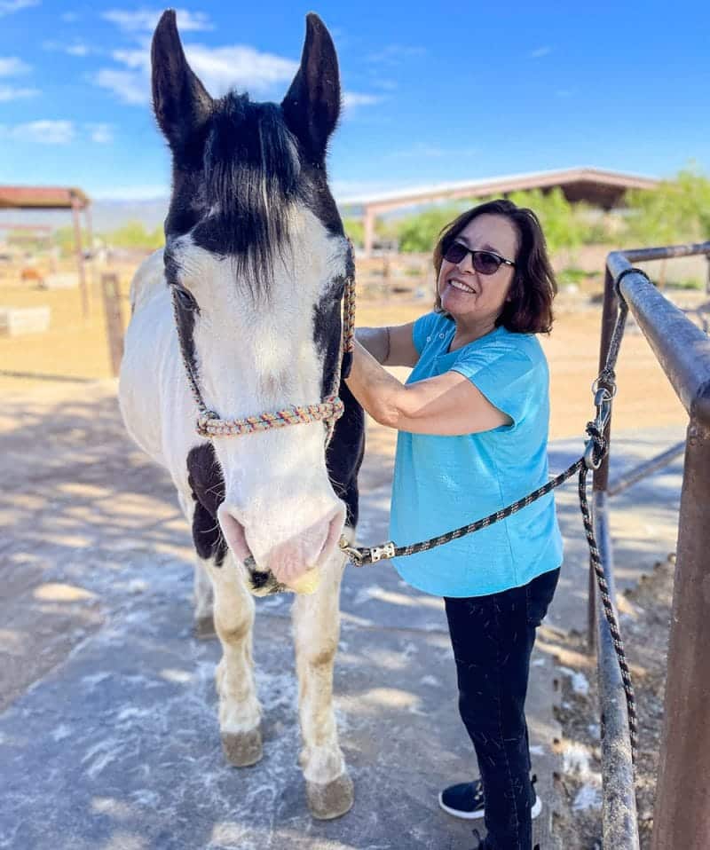 Adult Programs - Reigning Grace Ranch