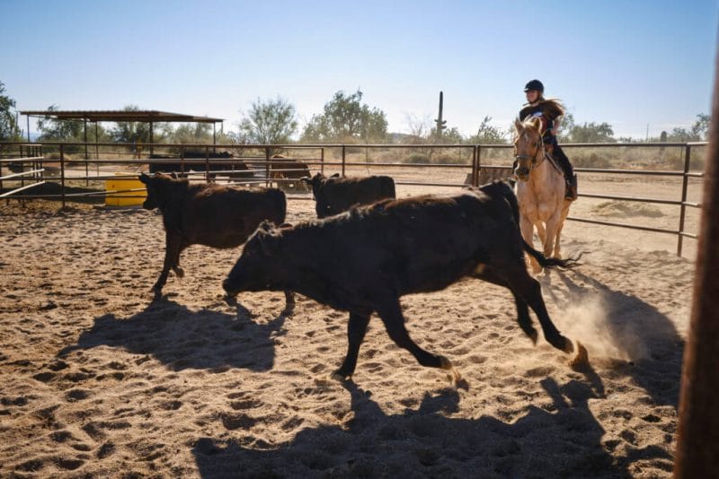 Photo Gallery - Reigning Grace Ranch