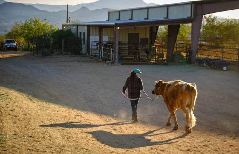 Photo Gallery - Reigning Grace Ranch