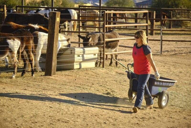 Photo Gallery - Reigning Grace Ranch