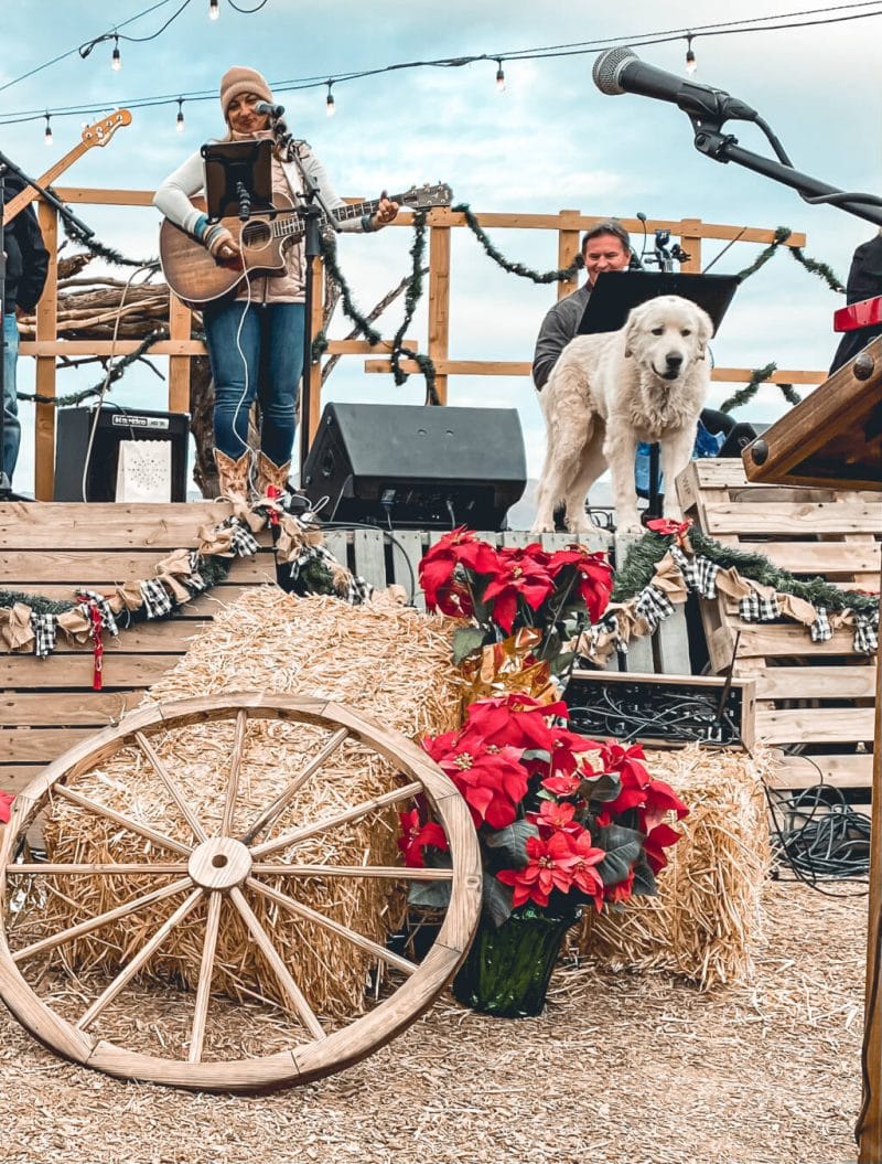 Photo Gallery - Reigning Grace Ranch