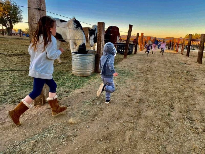 Photo Gallery - Reigning Grace Ranch