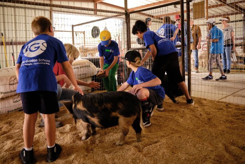 Photo Gallery - Reigning Grace Ranch