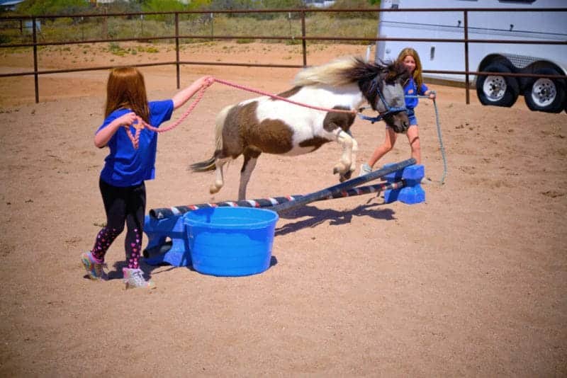 Photo Gallery - Reigning Grace Ranch