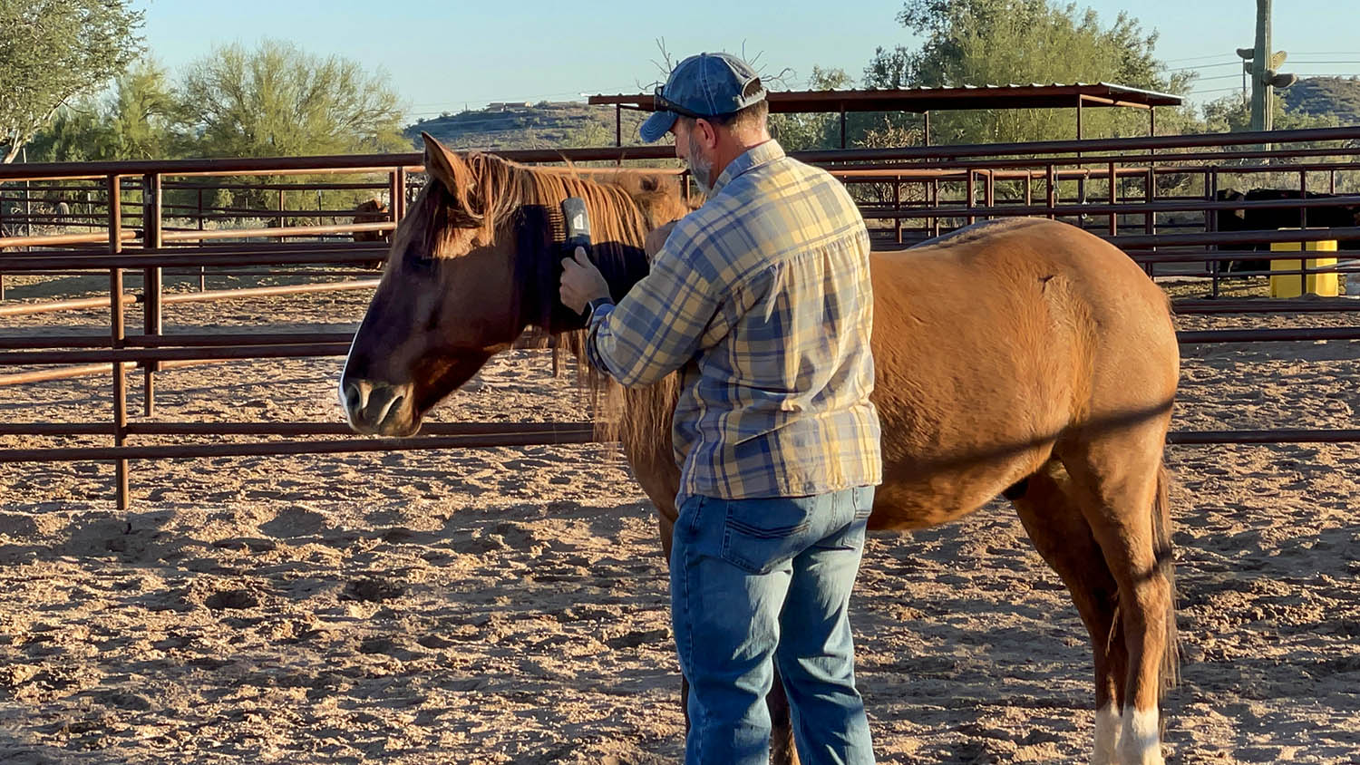 The Armor Project - Reigning Grace Ranch